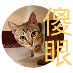 Debra_20220726172952 - LINE スタンプ | LINE STORE