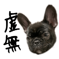 UBA_20220727001046 – LINE貼圖 | LINE STORE