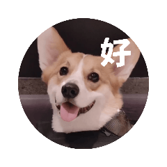 Chang ching cheng_20220728091236 – LINE stickers | LINE STORE