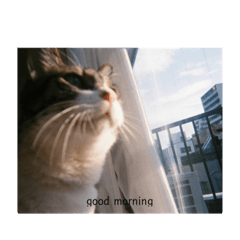 soco_20220728201324 – LINE stickers | LINE STORE