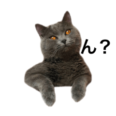 Bri_20220729173816 – LINE stickers | LINE STORE