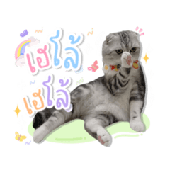 Gracezy_20220728135922 – LINE stickers | LINE STORE