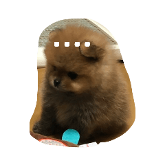 hhhhjjjj – LINE stickers | LINE STORE