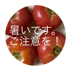 Fukuo_20220802144555 – LINE貼圖 | LINE STORE