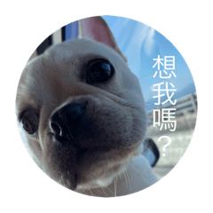 Pan Yi TING_20220801235157 - LINE スタンプ | LINE STORE