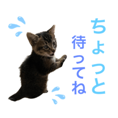 Ayaka_20220803202808 – LINE stickers | LINE STORE