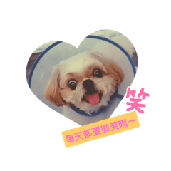 Ms. Bobo_20220803213914 – LINE stickers | LINE STORE