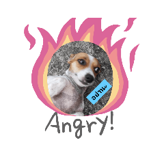 Leo&Boon Long_20220803190317 - LINE スタンプ | LINE STORE