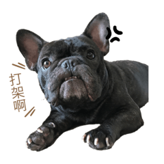 Oba Hsu 66 – LINE stickers | LINE STORE