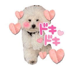 a.ayaka_20220805042808 – LINE stickers | LINE STORE