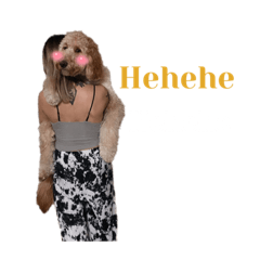 Hugo is cute ♡ – LINE貼圖 | LINE STORE