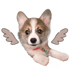 ayaka_20220805220018 – LINE stickers | LINE STORE