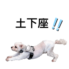 SUSU_20220808153003 – LINE stickers | LINE STORE