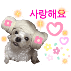 DuDiDi_2022 – LINE stickers | LINE STORE