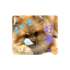 tutu_20220809171840 – LINE stickers | LINE STORE