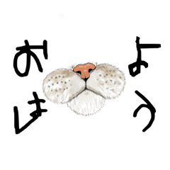 BUZU_20220811083146 – LINE stickers | LINE STORE