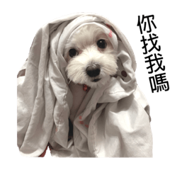 A Day in the Life of Didi – LINE stickers | LINE STORE