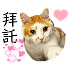 I am MiMi_20220812021531 - LINE スタンプ | LINE STORE