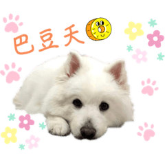 Lala_20220815011602 – LINE 스티커 | LINE STORE