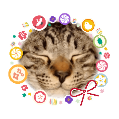 銀次郎③ - LINE スタンプ | LINE STORE