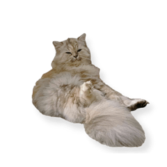 Angie and Gidget – สติกเกอร์ LINE | LINE STORE