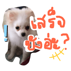 Taohuu for Business – LINE stickers | LINE STORE