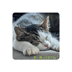 yama_20220820154755 – Stickers LINE | LINE STORE