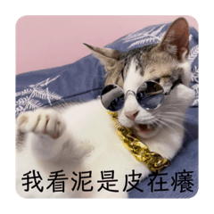 Nini cats 2 - LINE スタンプ | LINE STORE