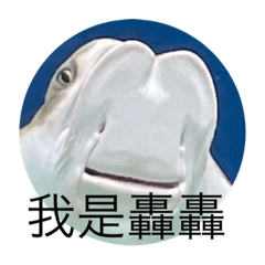 Yeh_20220822182216 - LINE スタンプ | LINE STORE