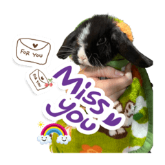 JoHeng Heng – LINE stickers | LINE STORE