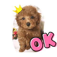 Lippy_20220822221719 – LINE貼圖 | LINE STORE