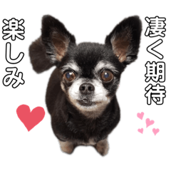 ringo!_20220824114134 – Stickers LINE | LINE STORE