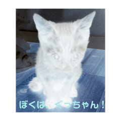 MEGUMI MASAKO_20220827131918 – LINE貼圖 | LINE STORE