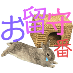 Nachan._20220827023035 – LINE stickers | LINE STORE