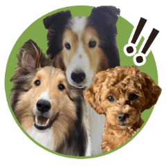 Mocha&Lien&Pazu – LINE貼圖 | LINE STORE