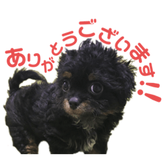 obane_20220828204039 – สติกเกอร์ LINE | LINE STORE