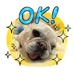 Chi_20220830023247 – LINE stickers | LINE STORE