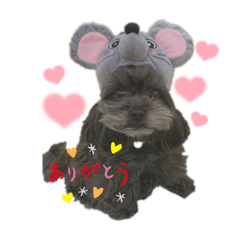 kurimu_20220831142310 – LINE stickers | LINE STORE