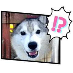 MARI_20220901122846 – LINE stickers | LINE STORE