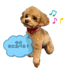 marinn_20220831222922 – LINE貼圖 | LINE STORE