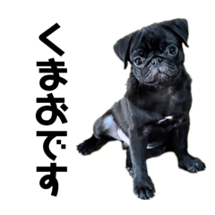 KUMAO_20220831225958 – LINE stickers | LINE STORE