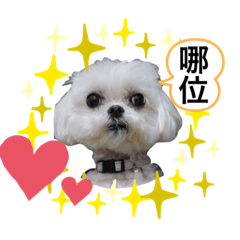 Ceach_20220903112522 - Stiker LINE | LINE STORE
