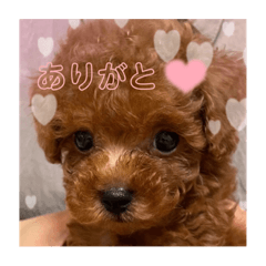 miuuu_20220905180117 – LINE貼圖 | LINE STORE