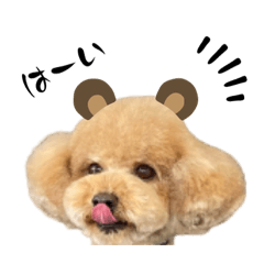 reo!!!!!! – LINE stickers | LINE STORE