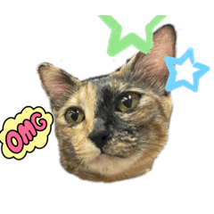 Fo fo fo_20220907203639 – LINE stickers | LINE STORE