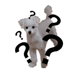sato_sun_20220909002707 – Stickers LINE | LINE STORE