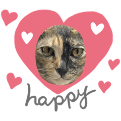 Fo fo fo_20220908203411 – LINE stickers | LINE STORE