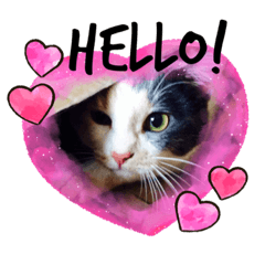 Minimus (Mus) – LINE stickers | LINE STORE