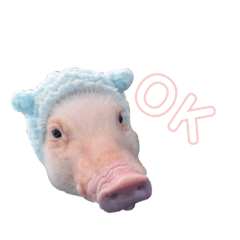 tetete_20220910164817 – LINE stickers | LINE STORE