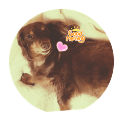 Luckyyy_20220911111809 – LINE stickers | LINE STORE